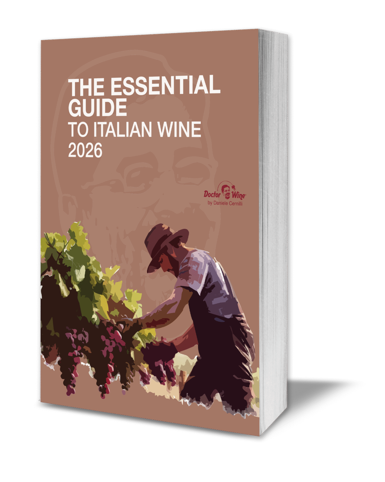 The Essential Guide to Italian Wine 2026 - DoctorWine